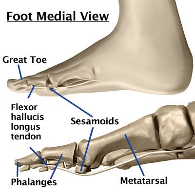 TWIRED: Just Like Bella!