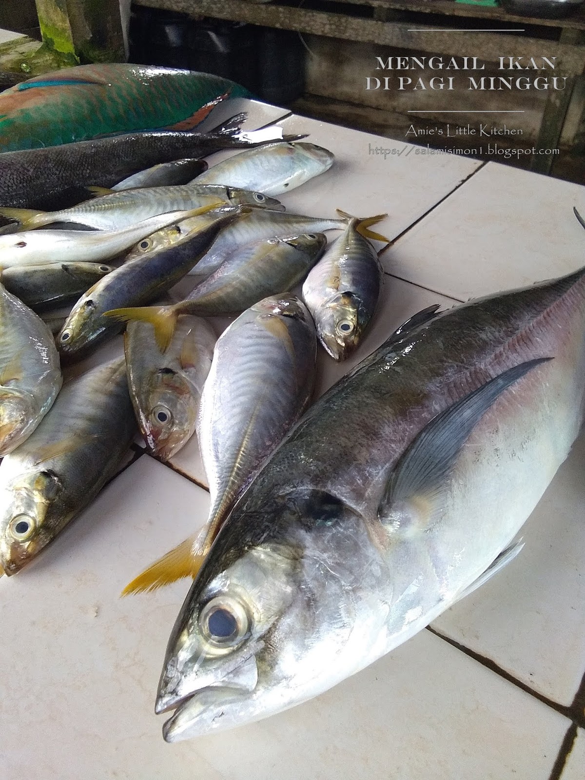 Mengail Ikan di Pagi Minggu - Amie's Little Kitchen