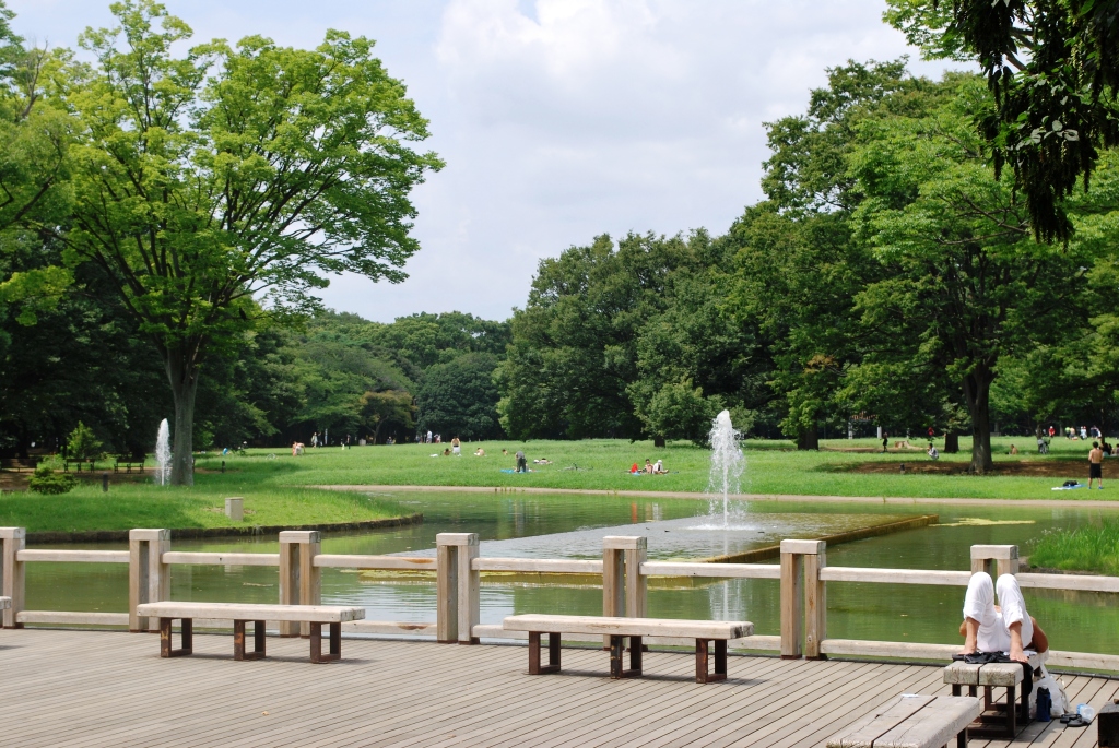 Un Estrany en Tokio: Descubriendo el Parque Yoyogi (Parte 1)