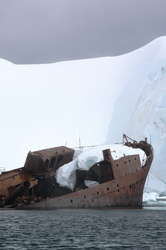 Beforeitstoolate: Antarctic Day 1