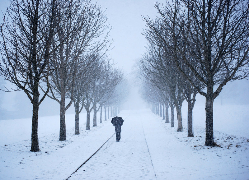 Lonely Mornings I am so Lonely I'm So Lonely...