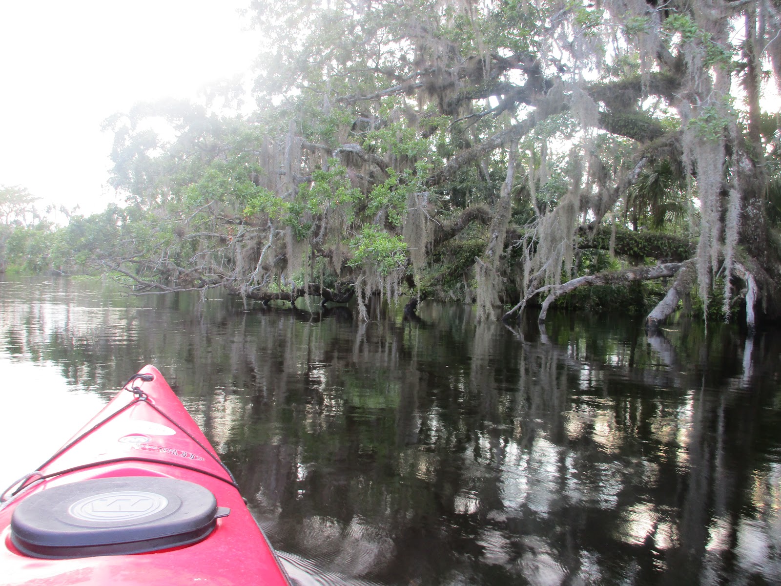Dave's Yak Tales: Wekiva River
