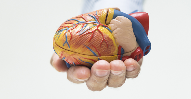 Medical History Moment - First Artificial Heart Implant