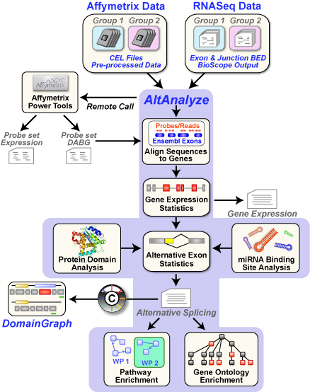 AltAnalyze Transcriptome Analysis