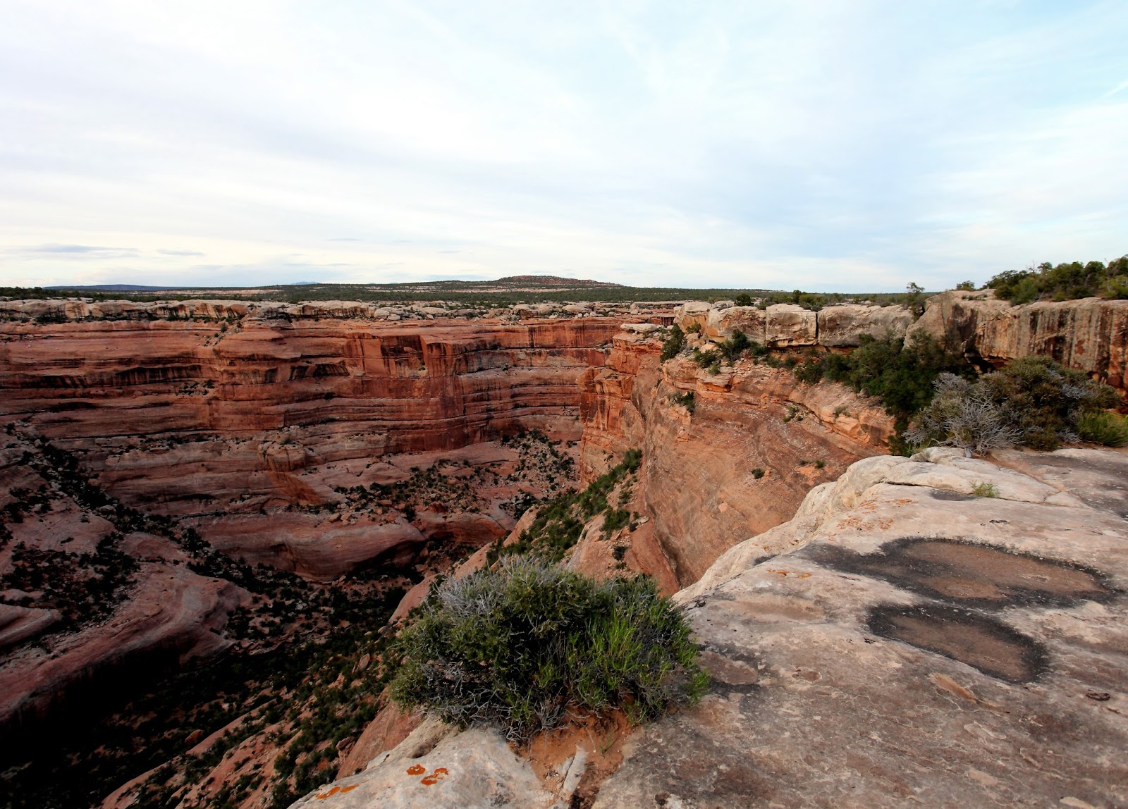 FISH CREEK CANYON-OWL CREEK CANYON LOOP TRAIL, CEDAR MESA, UTAH - ADAM ...