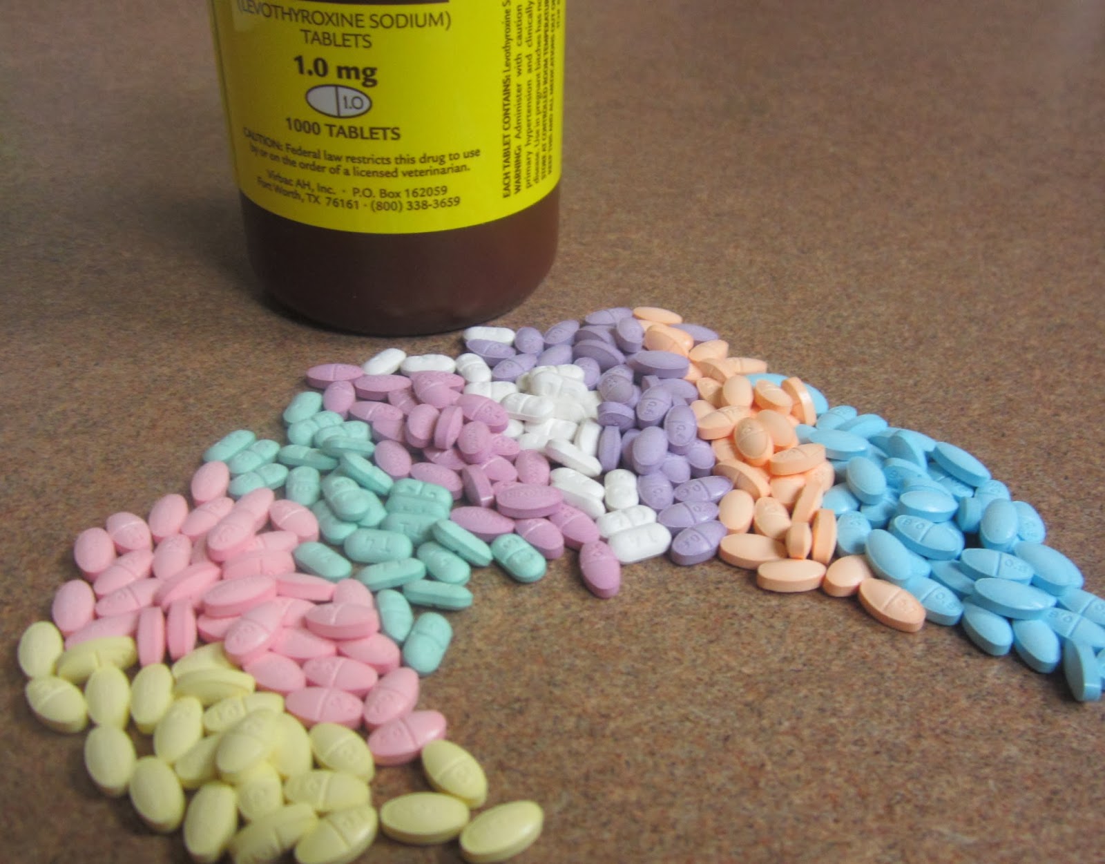 Animal Endocrine Clinic: What's the Human Risk Associated with Handling ...