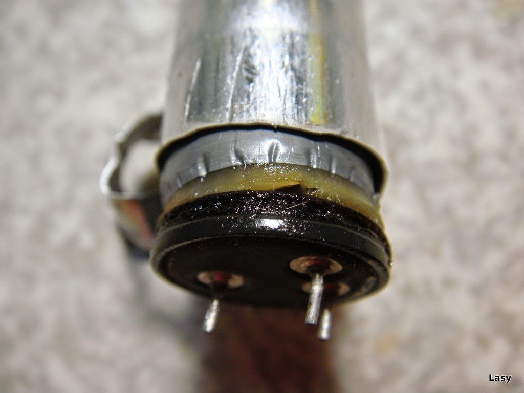 EPCOS series B41534 3-Pin Capacitor Inside 電容 拆解 解剖 / PWE DIY