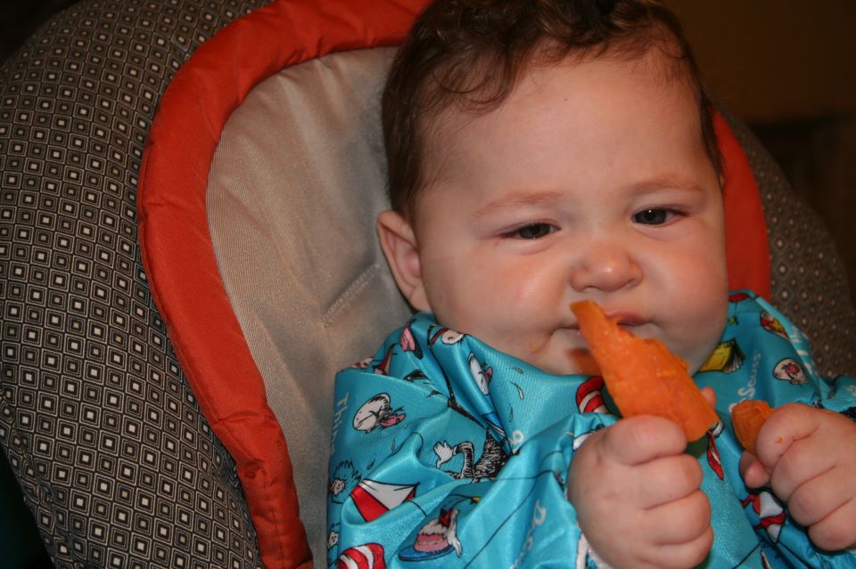 eLeMeNO-Pee Hot Topics: The What Nobody Tells You Files: Starting solid ...