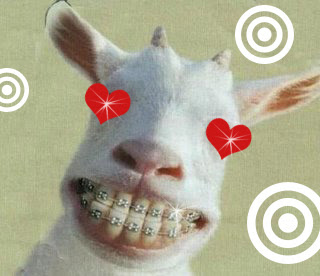 Funny Bakra Pics Collection