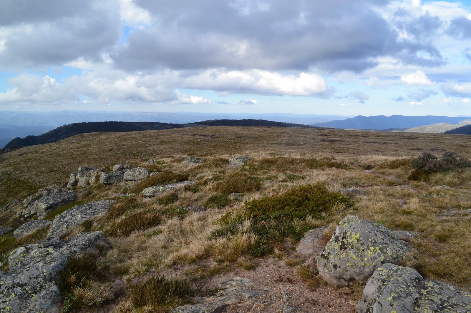 Goin' Feral One Day At A Time: Howitt & The High Country, Alpine ...