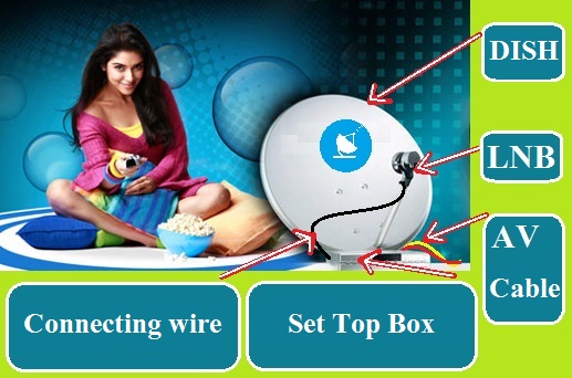 DD FREEDISH UPDATES: Know about Your Dish