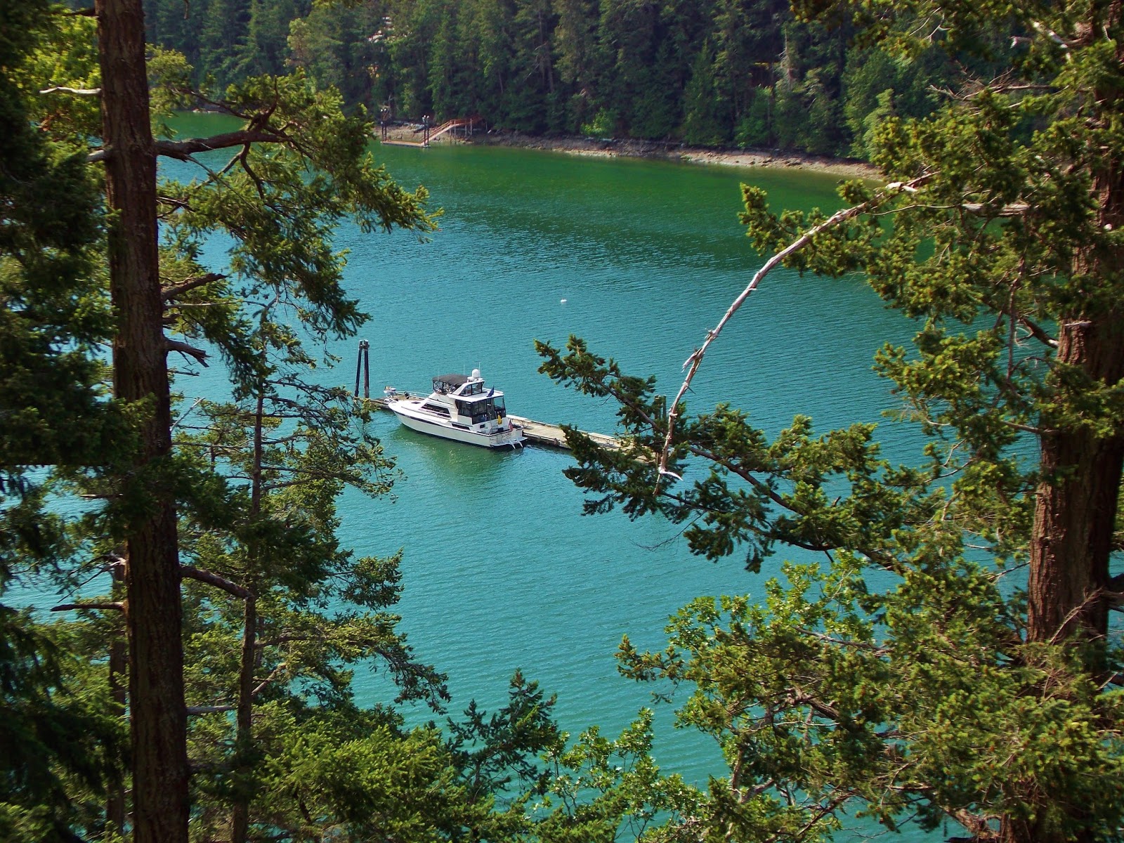 Alaskan Sea-Duction: Stuart Island and Reid Harbor