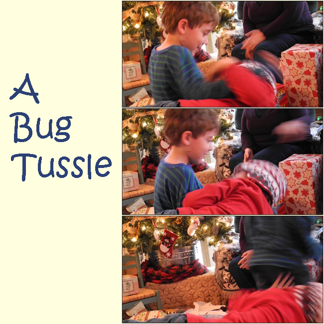 A Haven for Vee: And This is How It Went