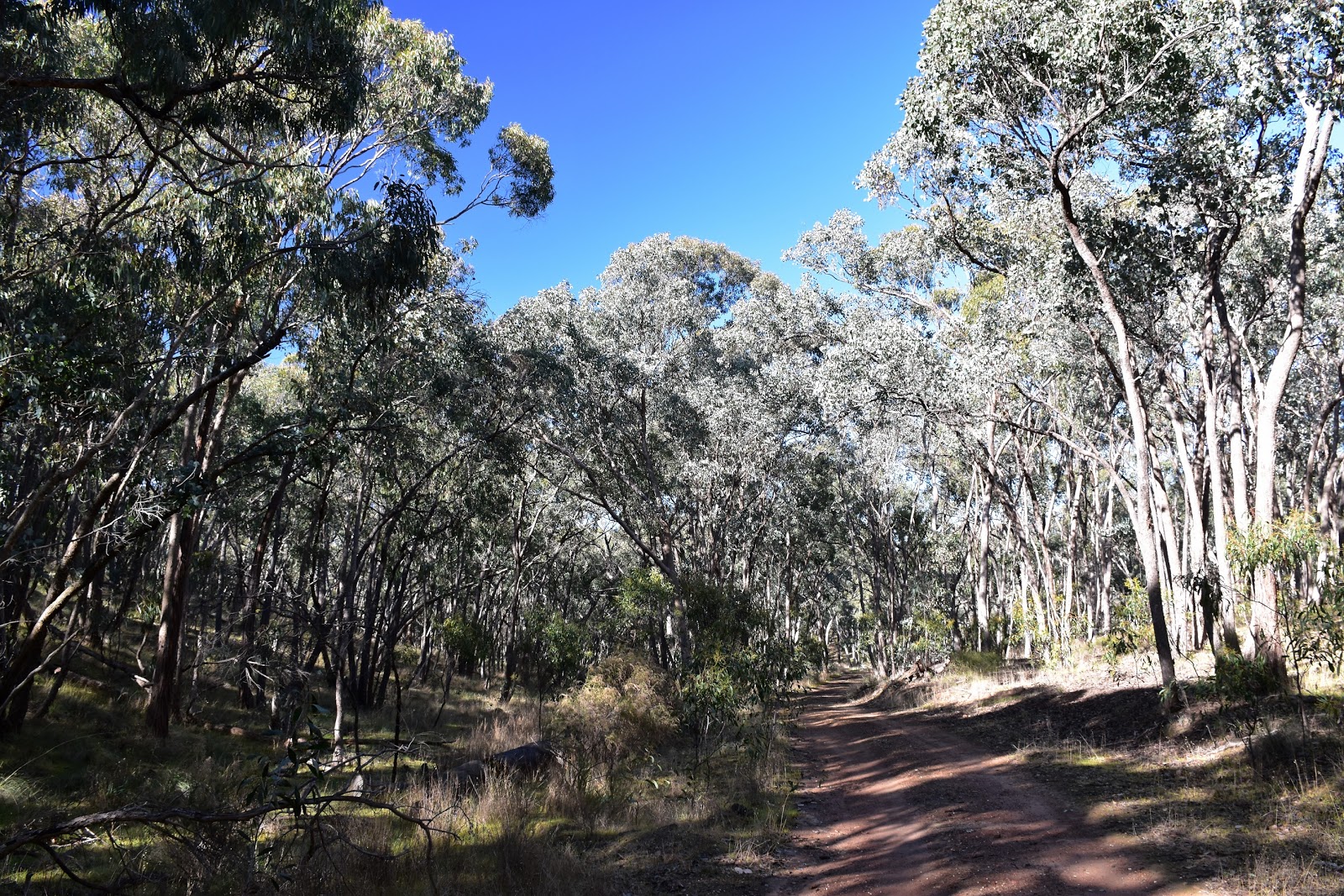 Goin' Feral One Day At A Time: Mundy Gully, Spring Plains Nature ...