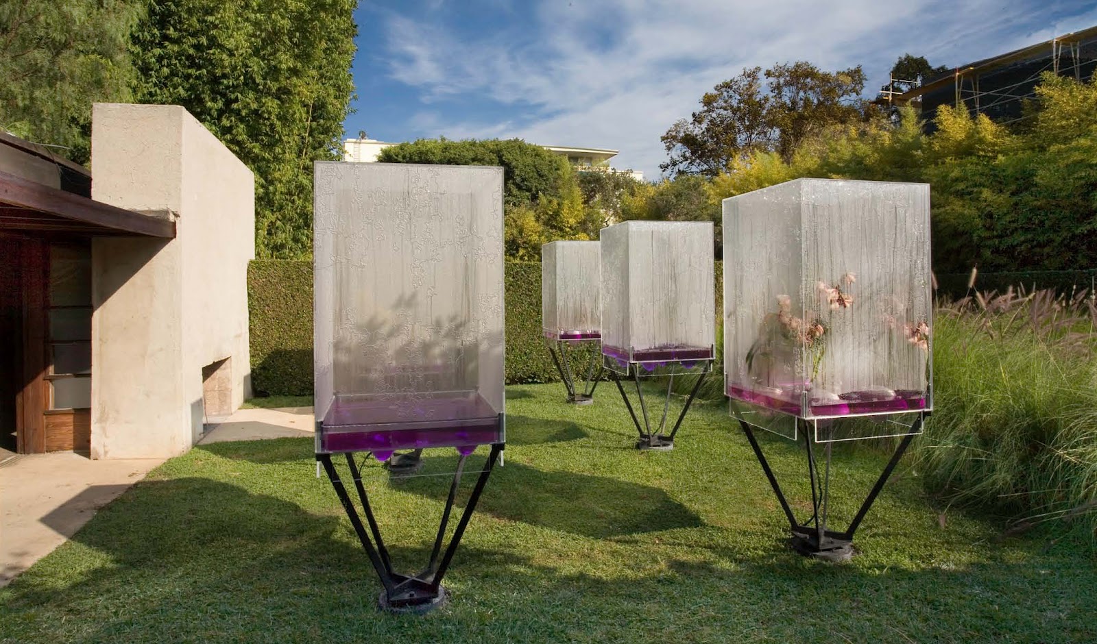 paradis express: Sean Lally