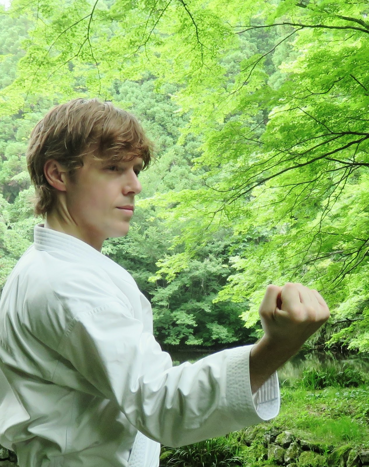 André Bertel's Karate-Do: A reverse look at kihon-centric karate: the ...