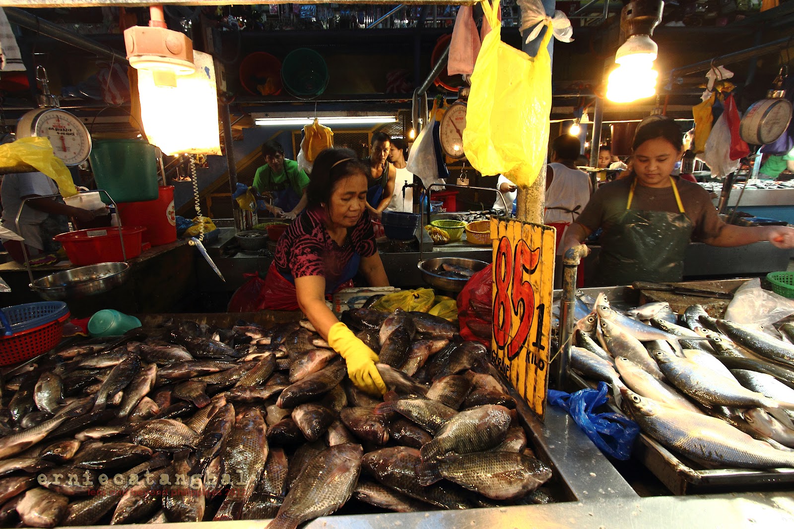 LENS AND BEYOND Philippines (vol. 1): Batch 35: Gandang Palengke ...