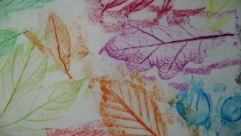 Art & Science Club {for kids}: Leaf Rubbings