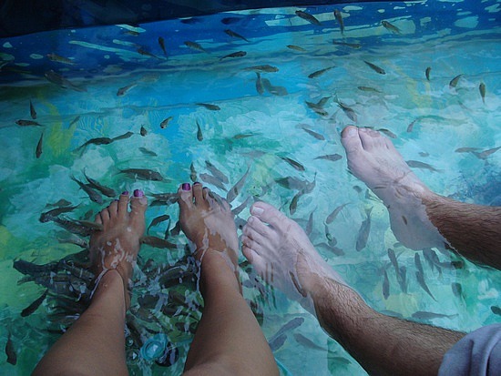 Doctor Fish Massage In Kerala ~ FOCUS THE WORLD