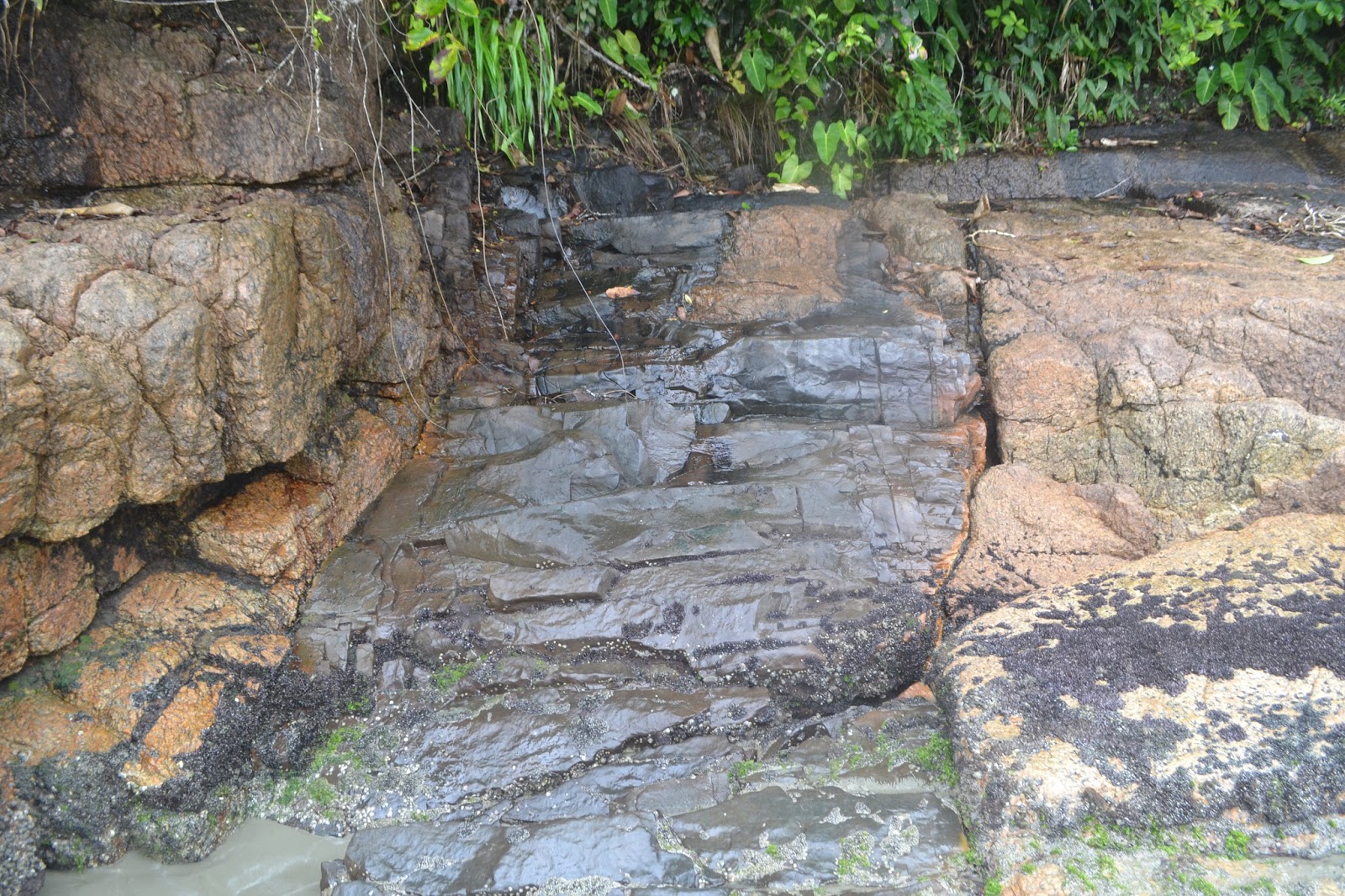 Natureza Campista: 2016