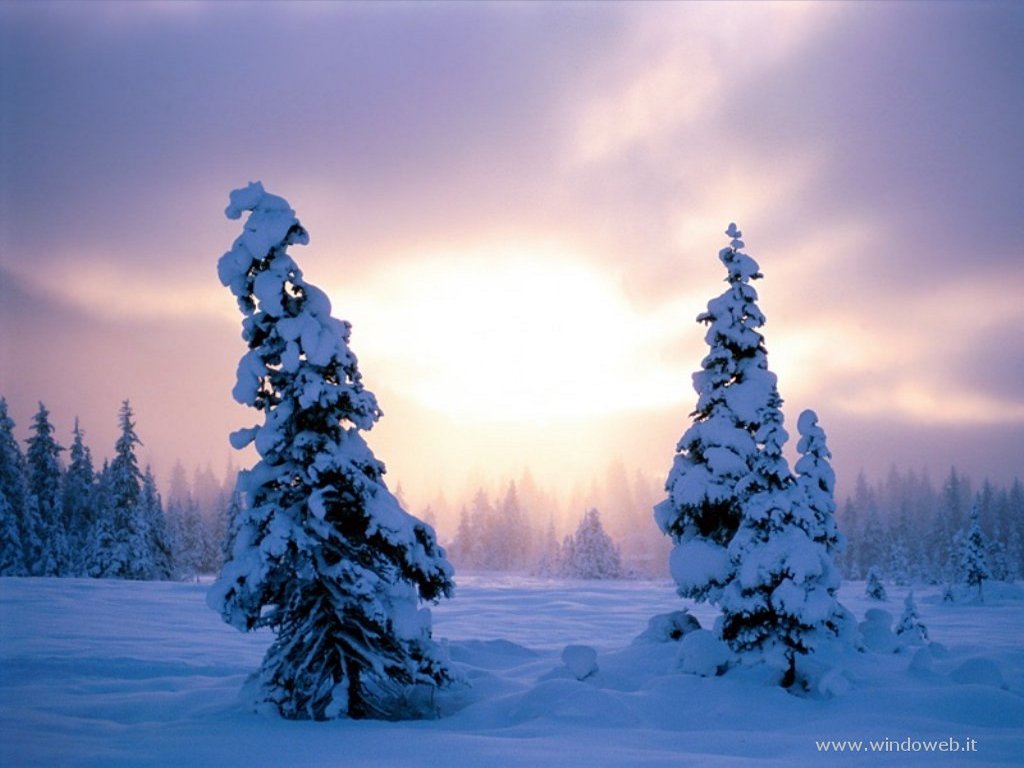 Barbante: Solstício de Inverno