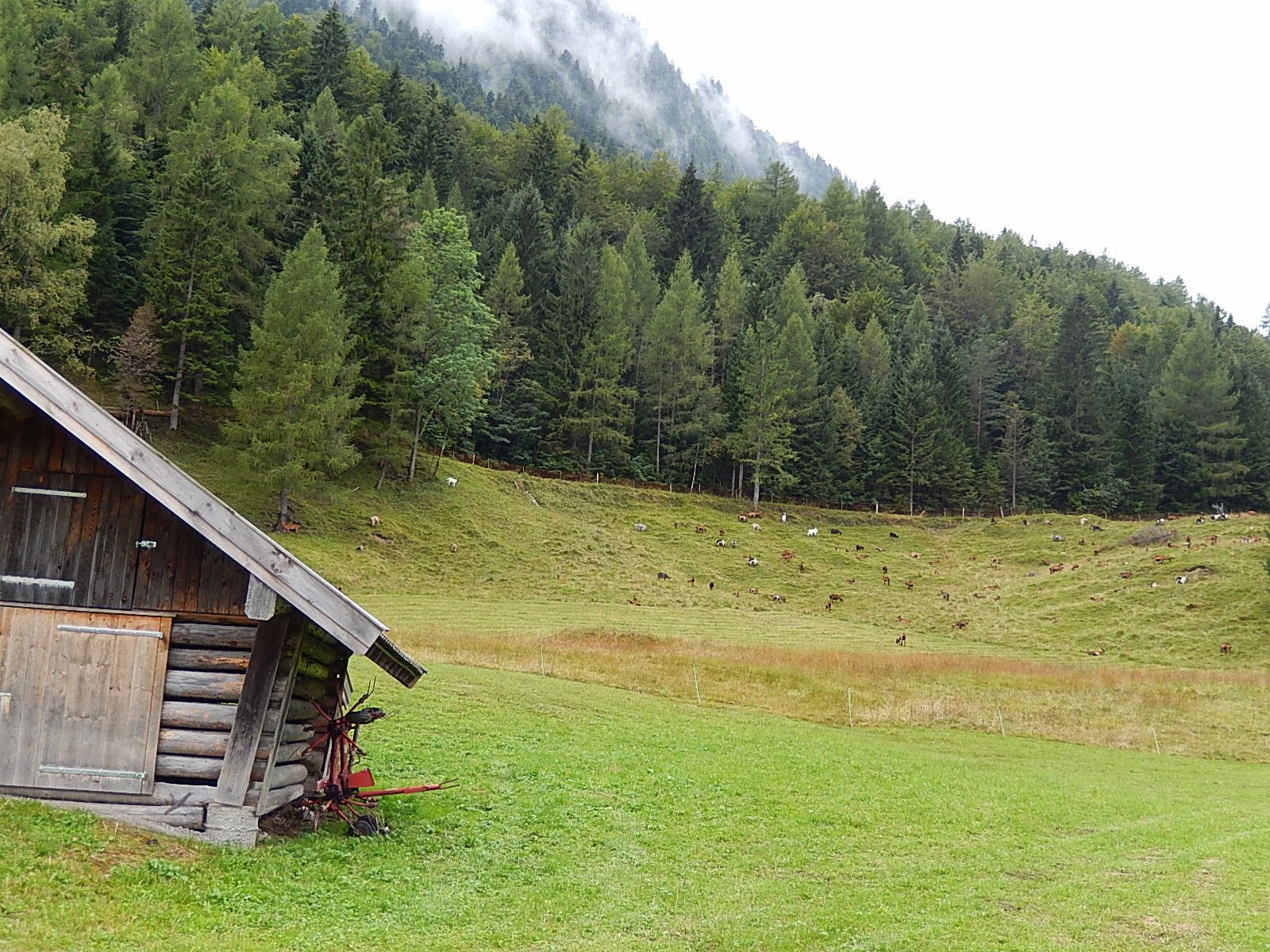 Der Wanderfreund: Wanderung Mittenwald – Hoher Kranzberg – Ferchensee ...