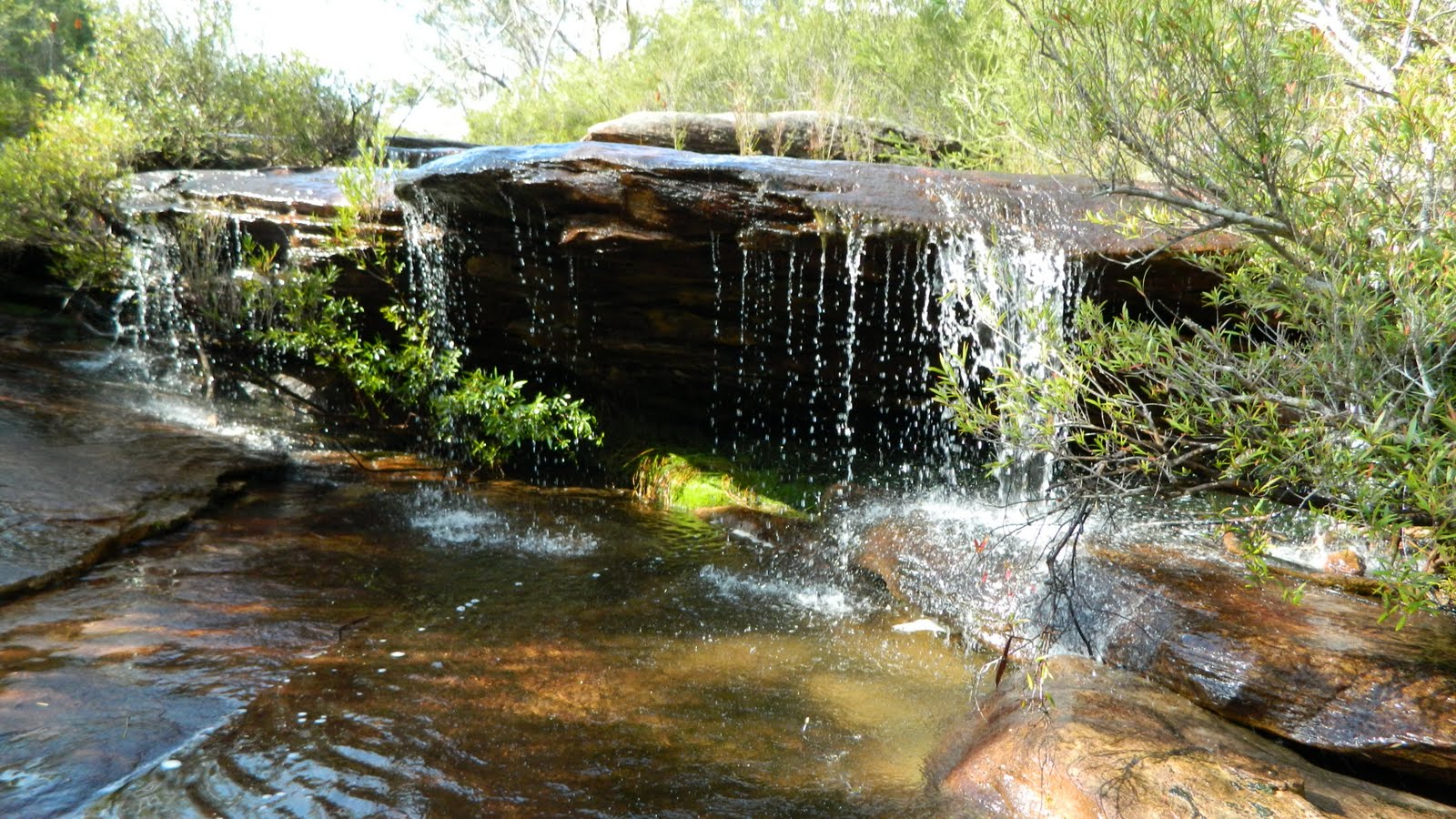Hike Wild: Bush Walk-Pindar Cave