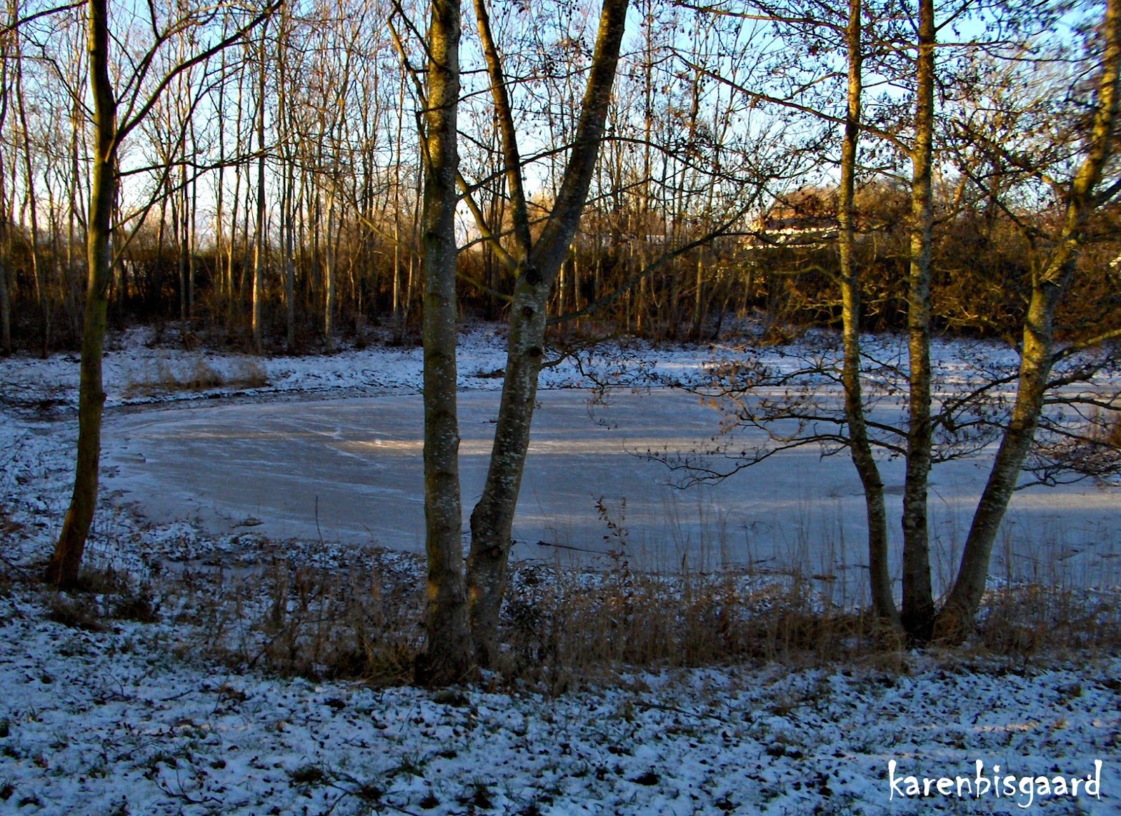 Karen`s Nature Photography: Frozen Pond on Commons.