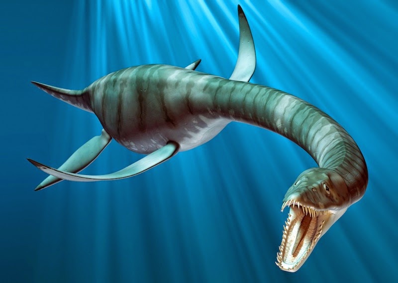 Leviathan Bible Job 41