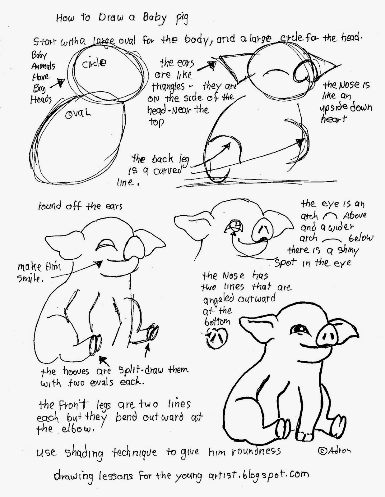 How To Draw A Baby Pig Step By Step