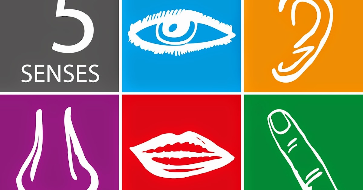 สร้างเอกลักษณ์เฉพาะให้กับแบรนด์ของคุณ ด้วย 5 Senses - Tawatchai Suwannasarn