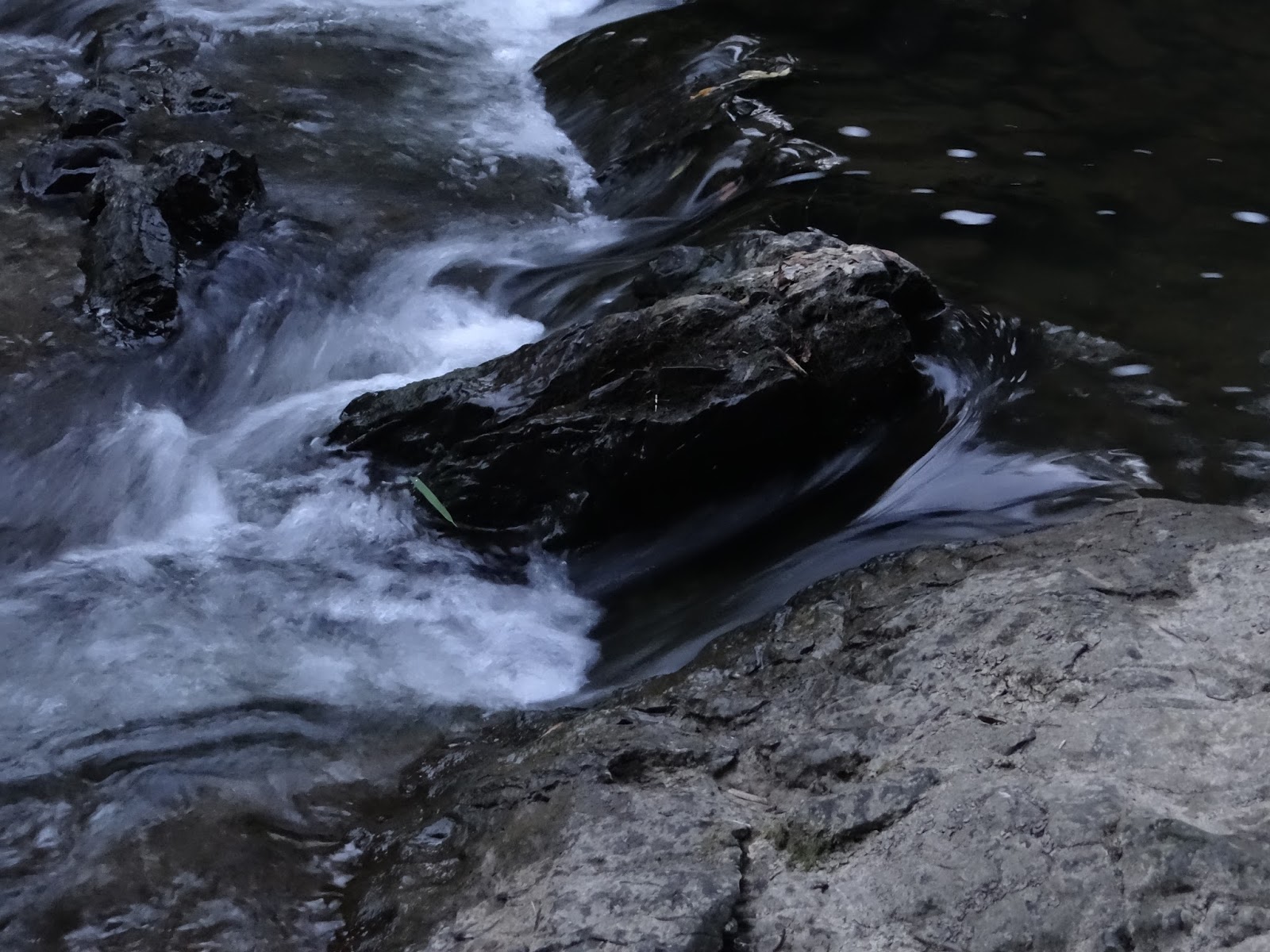 My Fun Photography: A Lovely Stream with Rushing Water