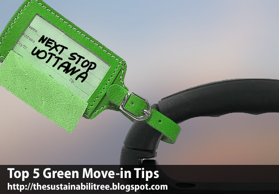 Top 5 Green Move-in Tips - The Sustainabilitree