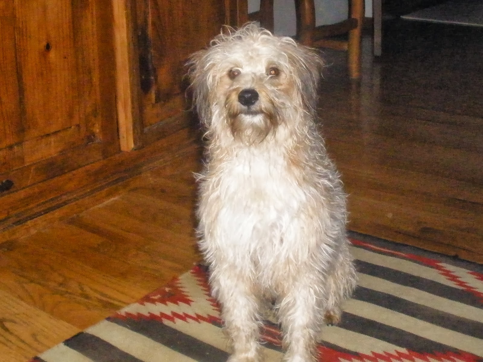 Stable Road Homestead Blog: 2013