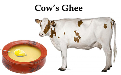 Benefits of Cow's Ghee - Healthy SuperFood