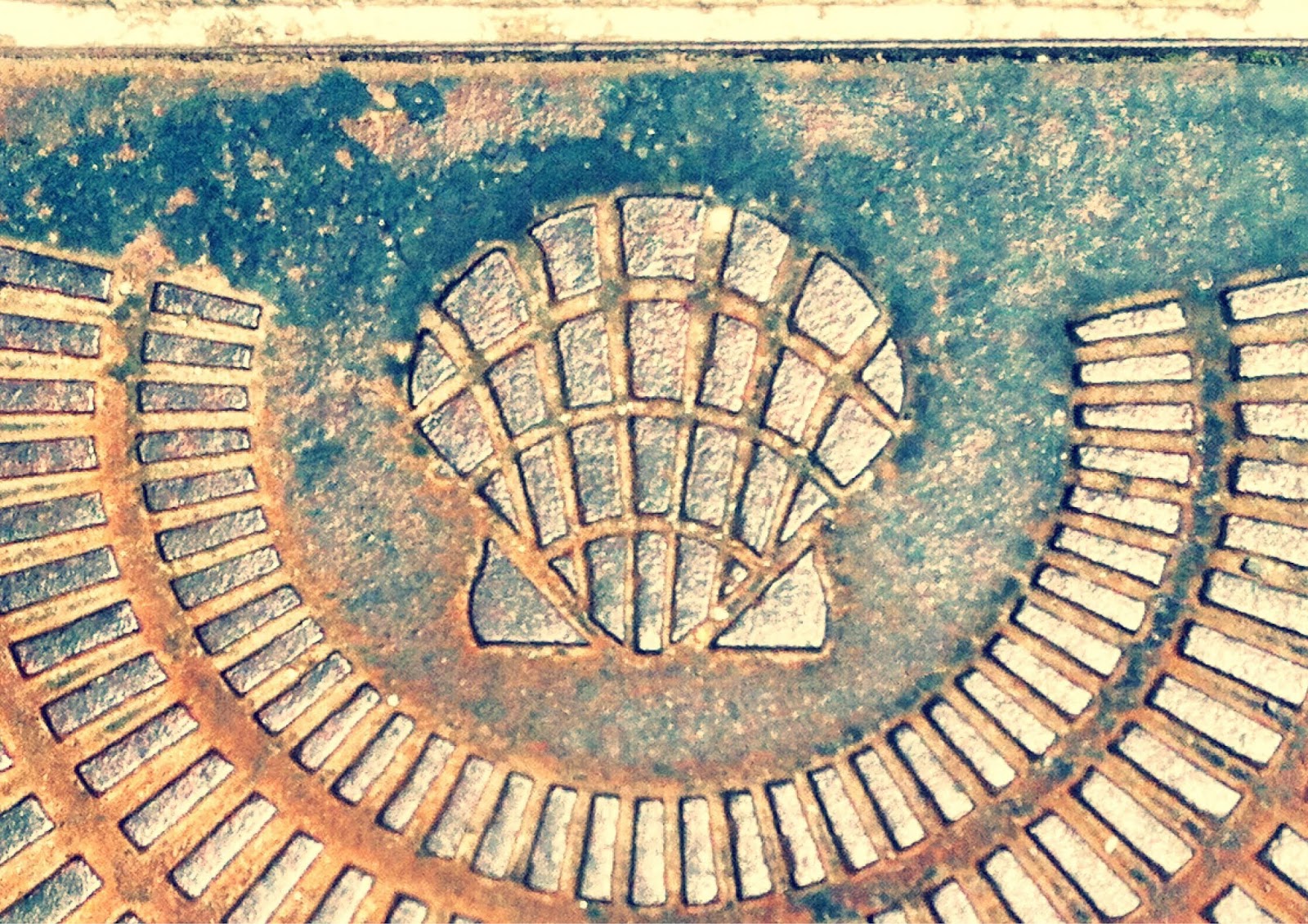 Camino Shells on the Way