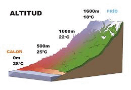 LA TIERRA Y EL UNIVERSO: FACTORES DEL CLIMA