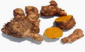 TEMULAWAK | JENIS TANAMAN