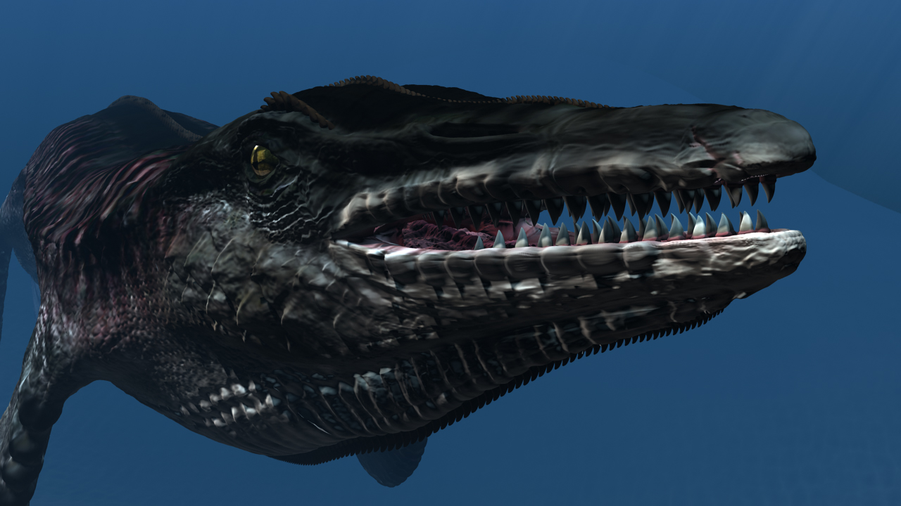 Katy J Negus. BA Hons. CG Arts & Animation: Tylosaurus Renders