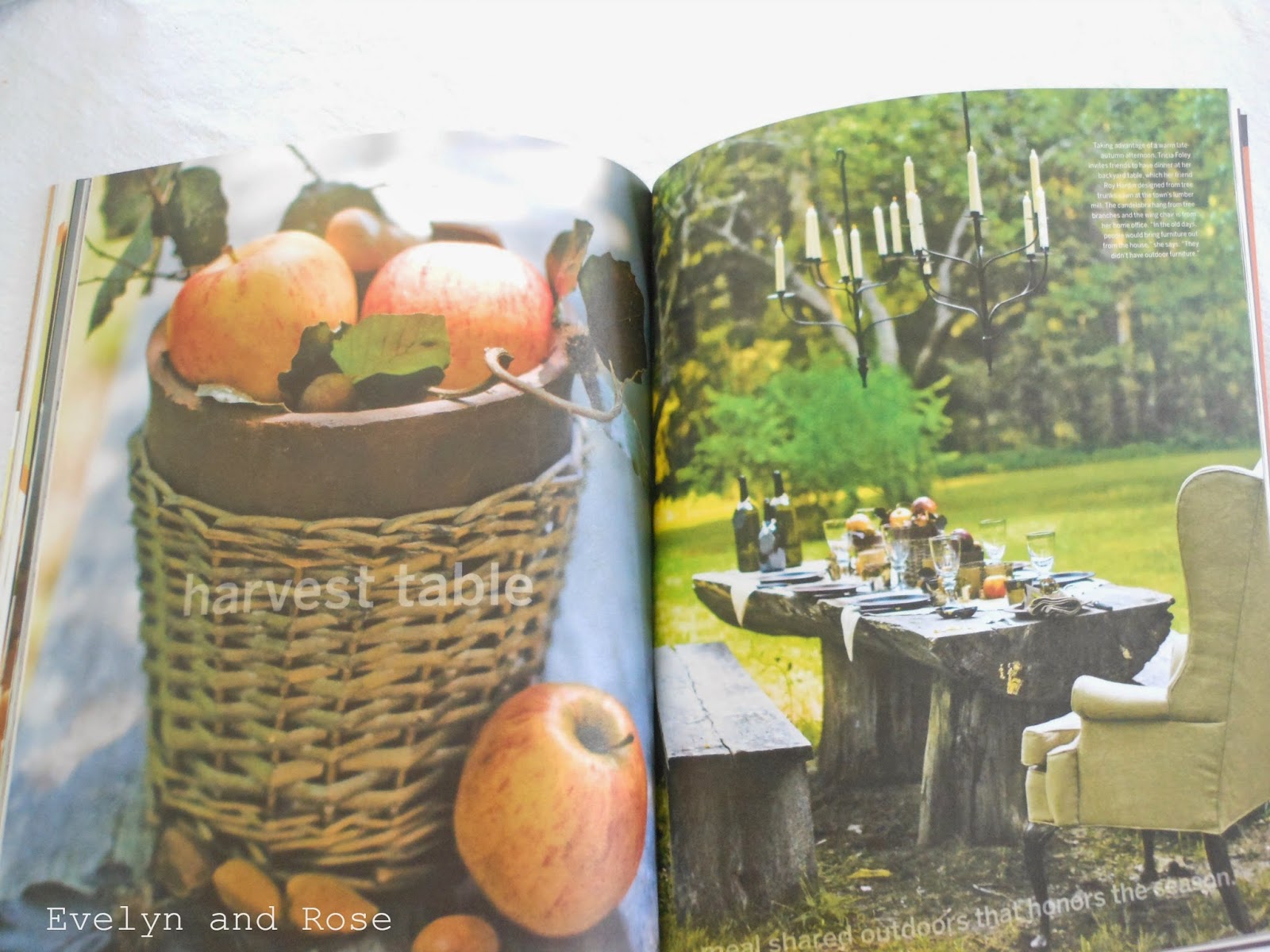 Evelyn and Rose: Holiday Vintage Bazaar and Meeting Matthew Mead!