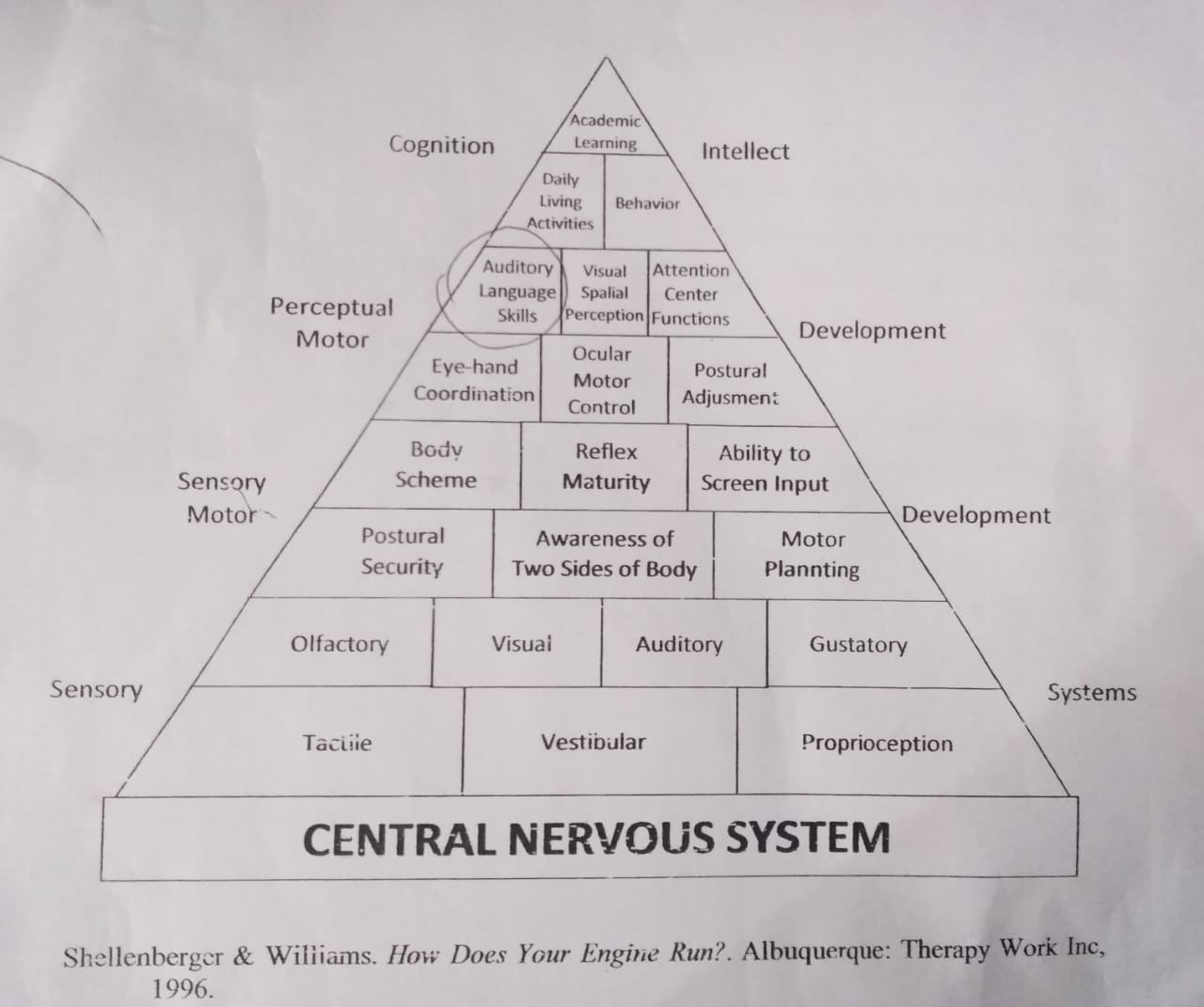 Mengatasi Keterlambatan Bicara pada Anak di Atas Umur Dua Tahun dengan ...
