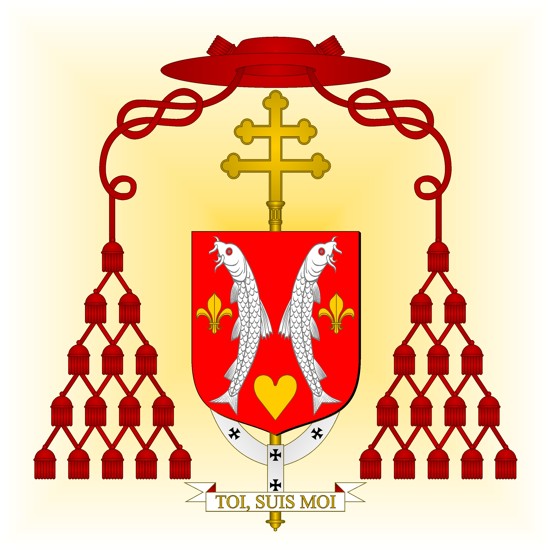 17 octobre 1950: Cardinal Philippe Barbarin - Le blog de la Religion ...