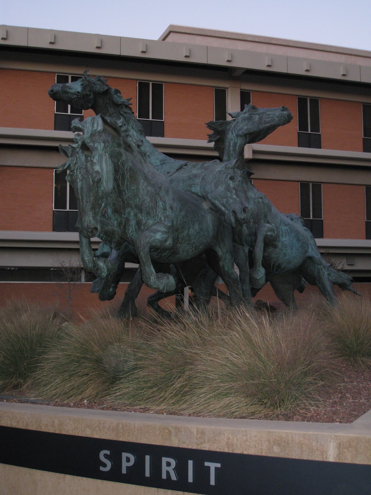 Yuccabloom: A Memoir of Meaningful Meanderings: A Few Views of ASU