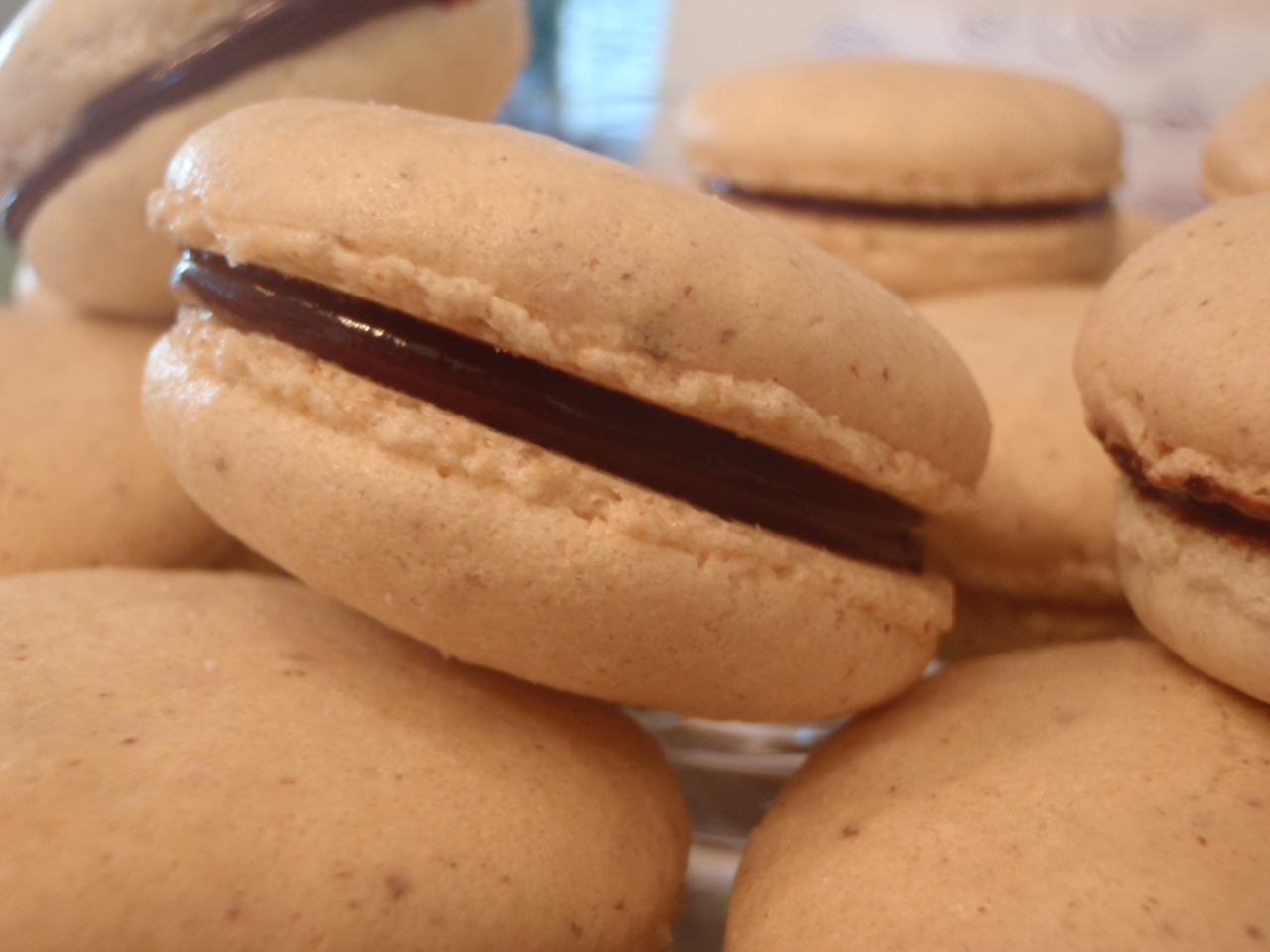 Hazelnut Macarons - The Bella Insider