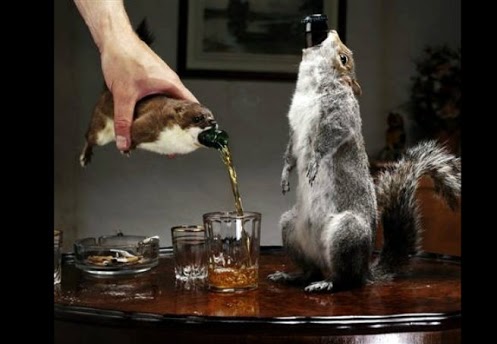 Dwarf Brewing