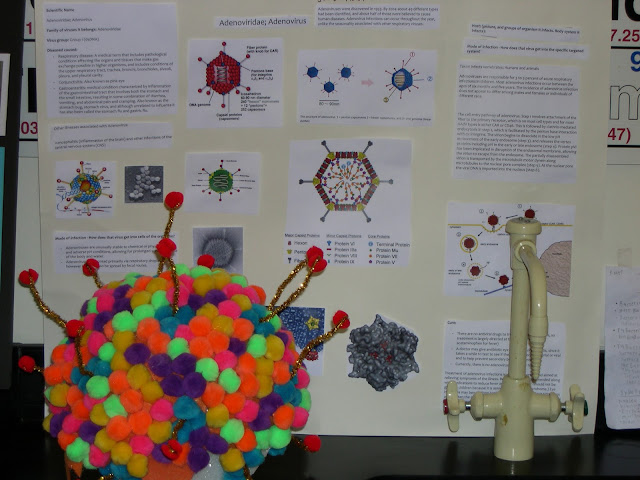 Bronxville Science Department: Honors Biology II Virus Projects