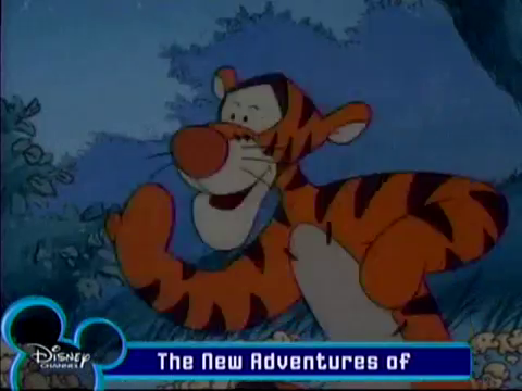 The New Adventures of Winnie The Pooh: Pooh Moon Part 1