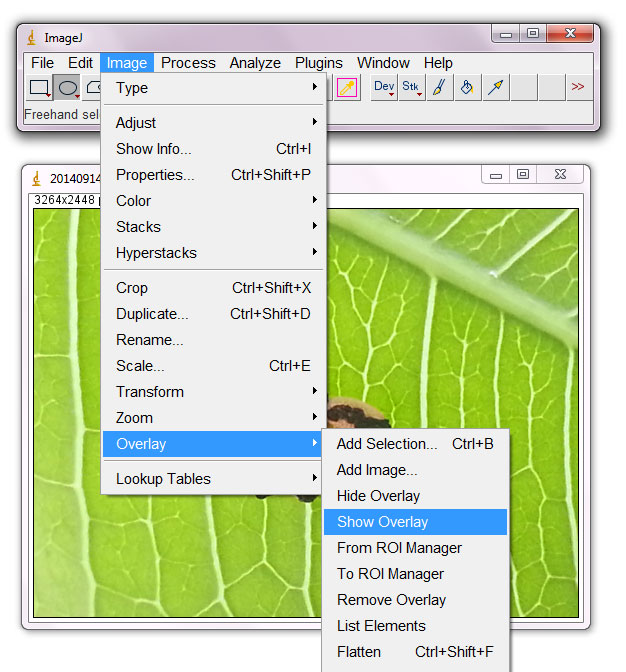 My imageJ: เมนู Image with ImageJ [ตอนที่ 75] Zoom, Show Overlay ...