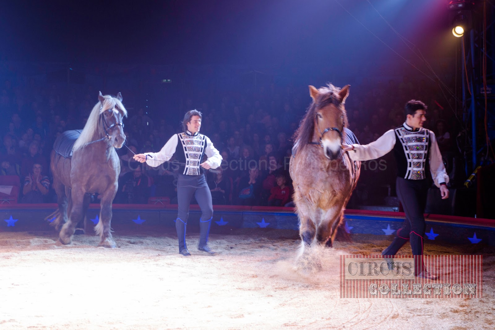 Circus -Collection: Cirque Knie 2016 une cuvée extraordinaire 1ère partie