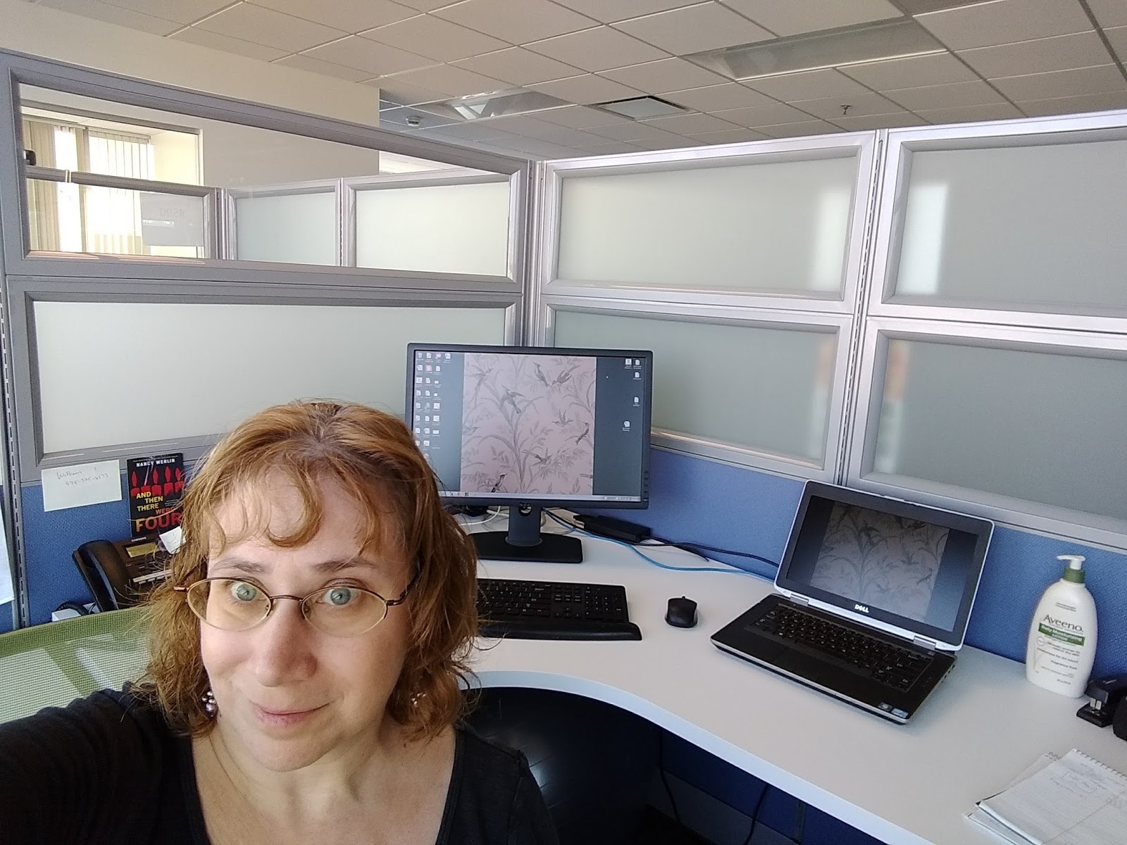 Career Achievers: Nancy Werlin on Thriving as a Long-Time, Actively ...